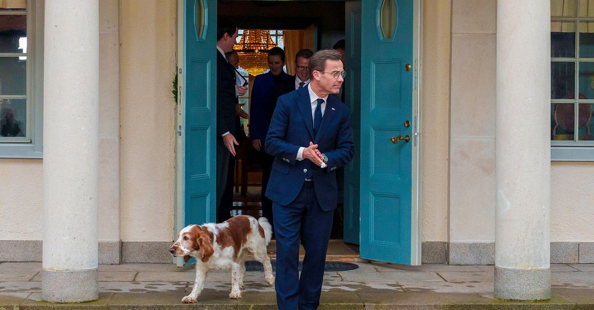 SVT:s reporter om utspelen kring Harpsund: ”Då vaknade intresset” | SVT ...