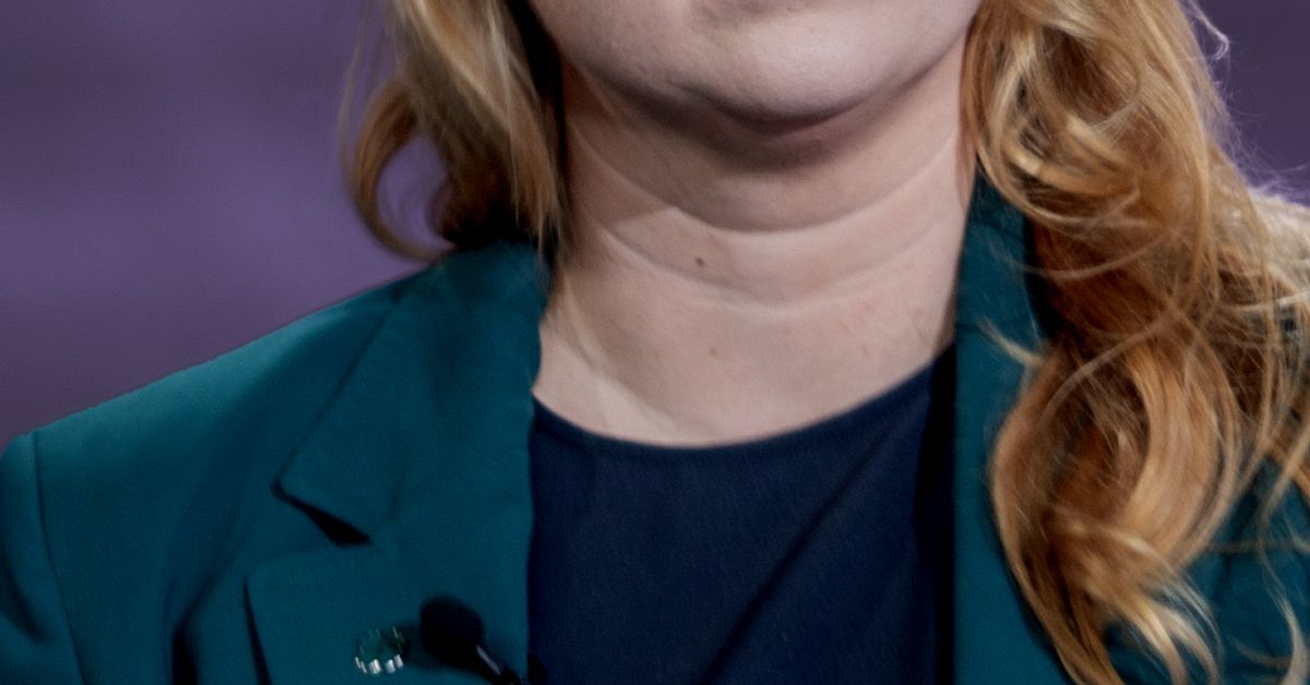 Vem blir ny partiledare för C? | SVT Nyheter