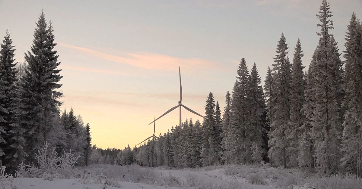 Ett år senare – väntar på svar om vindkraften i Övertorneå | SVT Nyheter