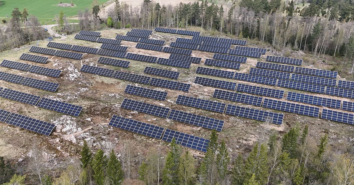 Så motverkas cyberangrepp mot solcellsparken i Tranås | SVT Nyheter