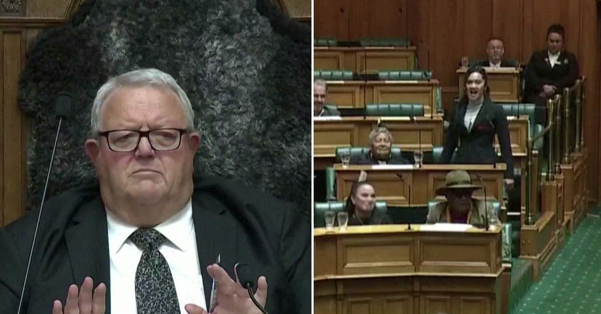 Nytt lagförslag skapar konflikt – ledamot gjorde haka i parlamentet ...