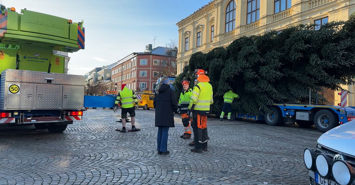 Här reses årets julgran upp på Stora torget i Karlstad | SVT Nyheter