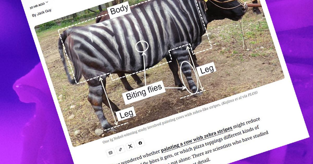 ”Nobelpris” till pastasås och zebraränder | SVT Nyheter