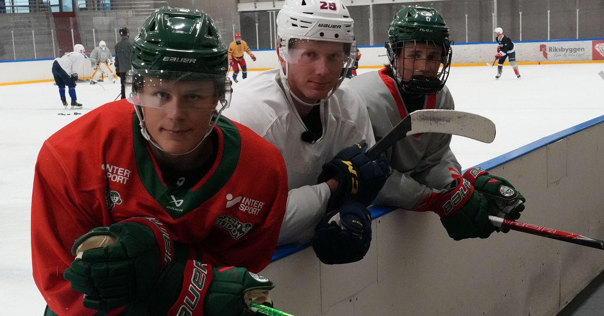 Ishockey: Bröderna Stenberg sporrar varandra till stordåd | SVT Sport