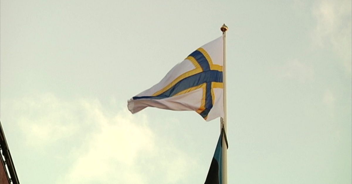 Vilka är sverigefinnarna? | SVT Nyheter