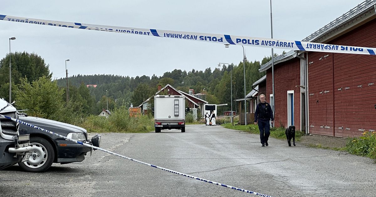 Man hittad död utomhus i Vilhelmina: ”Ingen anledning att känna oro” | SVT Nyheter