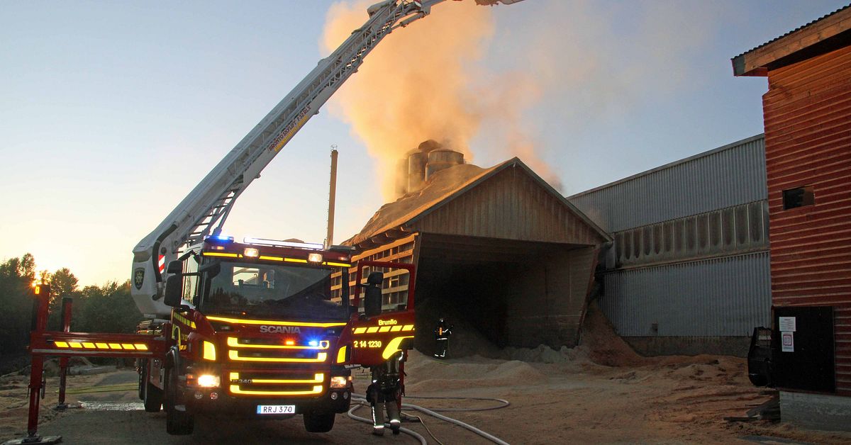 Brand i träfabrik i Brunflo | SVT Nyheter