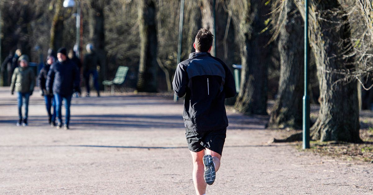 AI-forskning från Lunds universitet: Fem nycklar för bra livskvalitet | SVT Nyheter