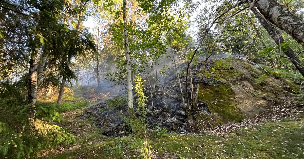 SMHI varnar för skogsbränder – räddningstjänsten avråder från eldning ...