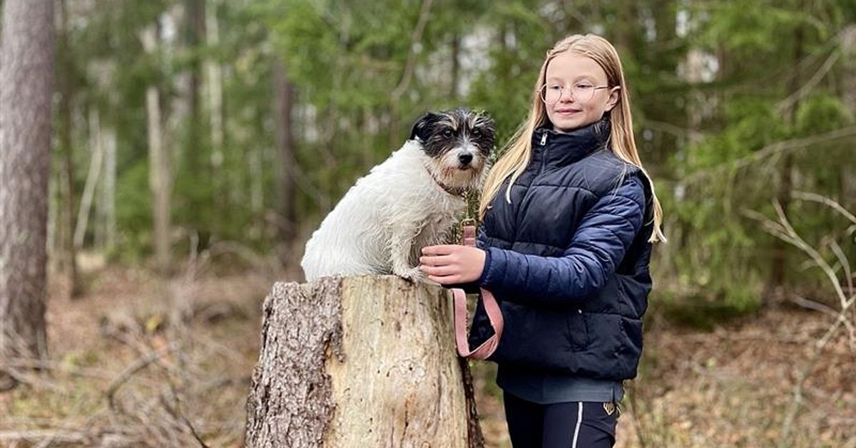 Hundpromenad för att uppmärksamma hemlösa hundar | SVT Nyheter