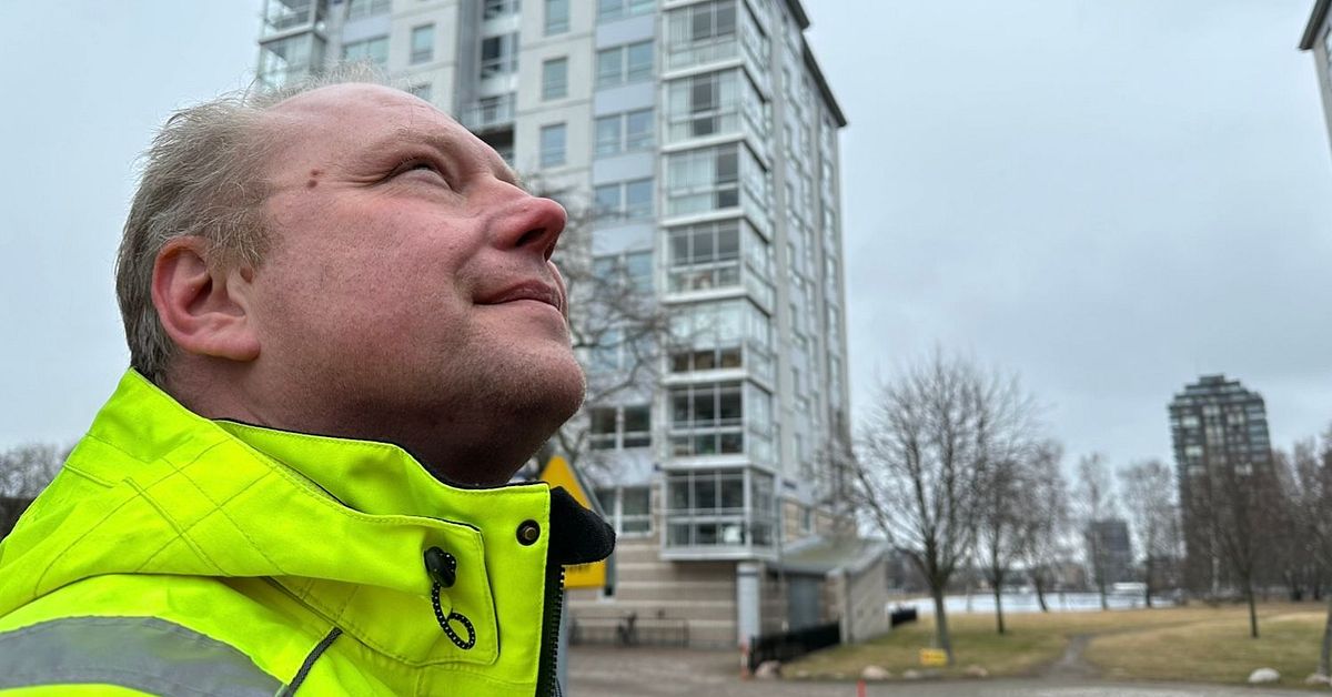 Skrik och skrän när fåglarna sätter sina bon | SVT Nyheter