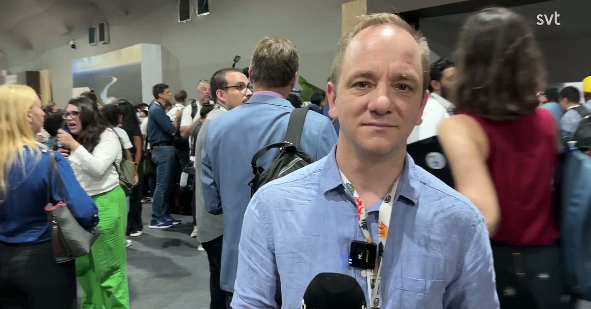 Aktivist: ”skulle vara katastrof” – Senaste nytt om FN:s klimattoppmöte ...