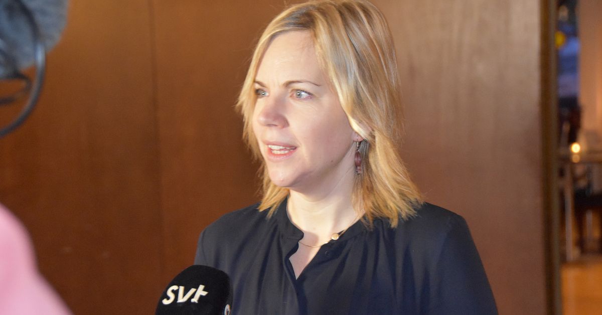 Julia Brozin (C): ”Vill vi nå förändring ska vi gå via barnen” | SVT ...