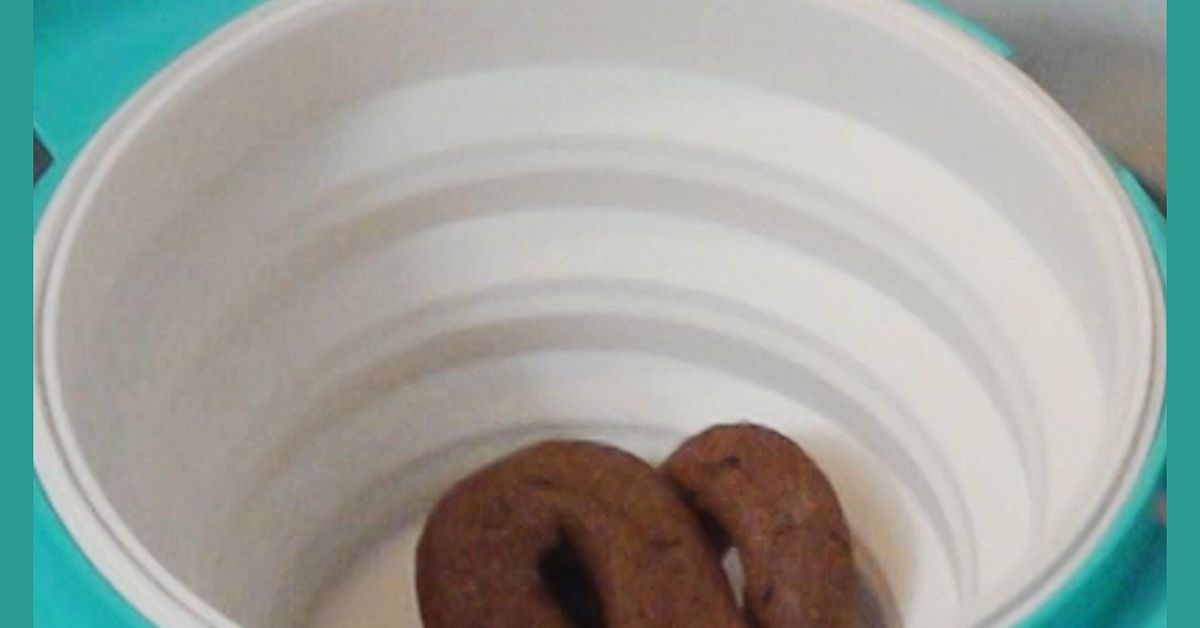 Ditt bajs kan bli andras medicin | SVT Nyheter