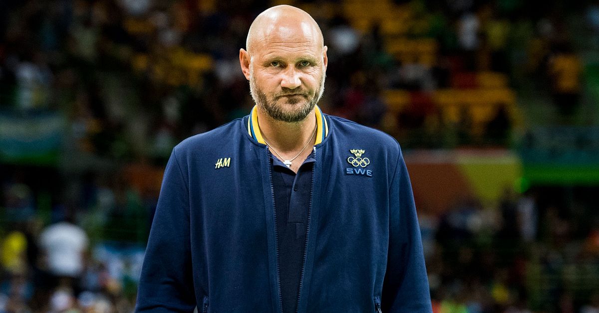 Handboll: Lindgren lämnar landslaget | SVT Sport