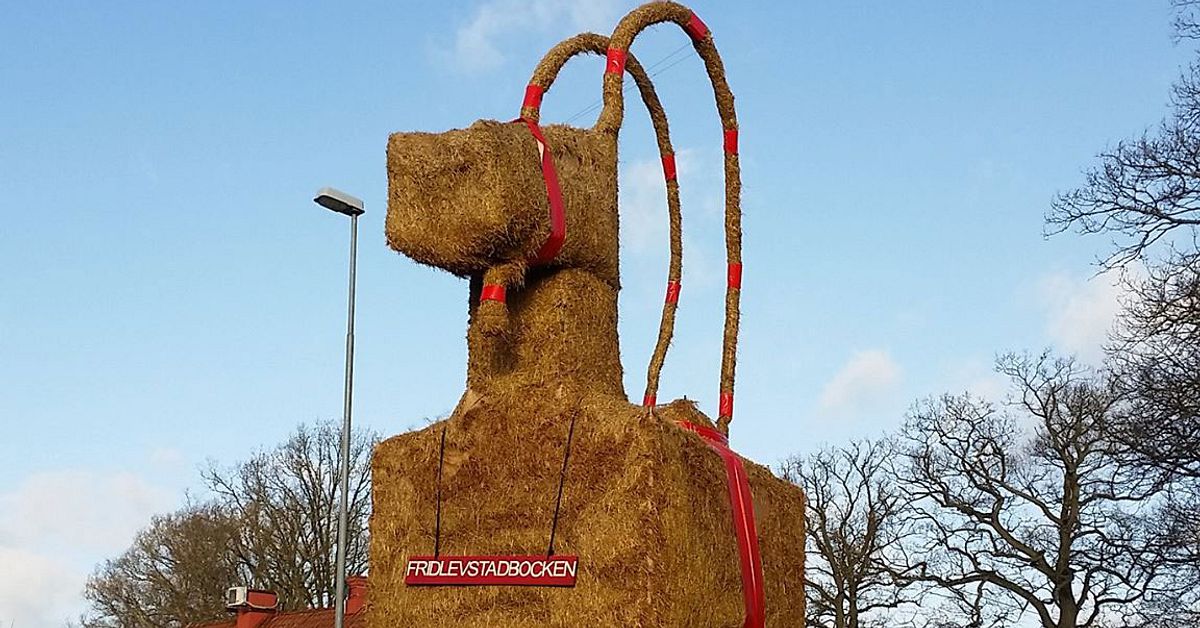 Jul utan bock i Fridlevstad | SVT Nyheter