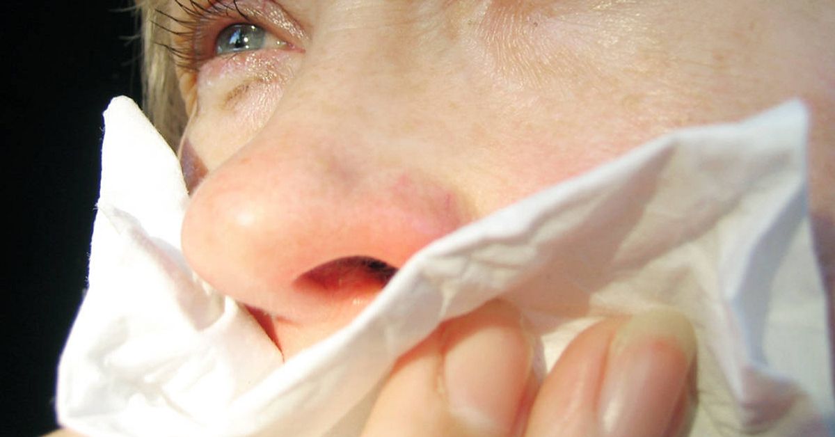 Nenä tukossa? | SVT Nyheter