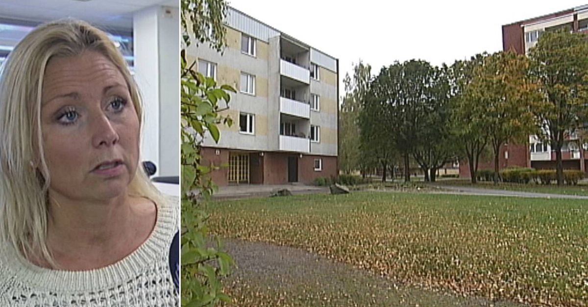 Journalister angripna med sten | SVT Nyheter