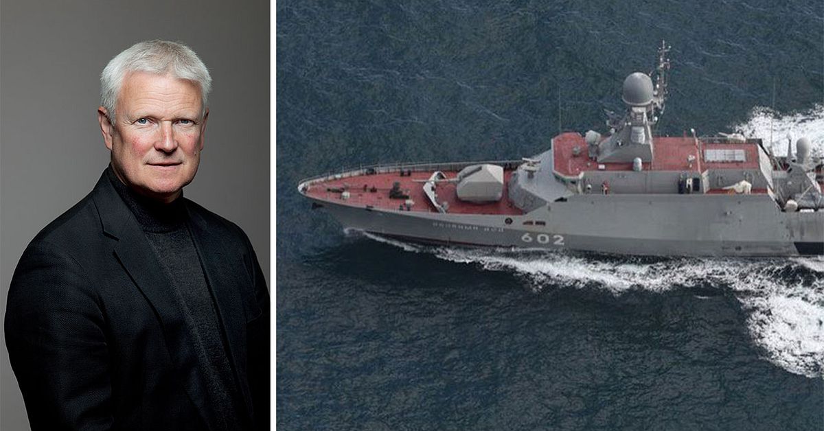 Tomas Ries: Ett problem för Europa, inte bara Sverige | SVT Nyheter