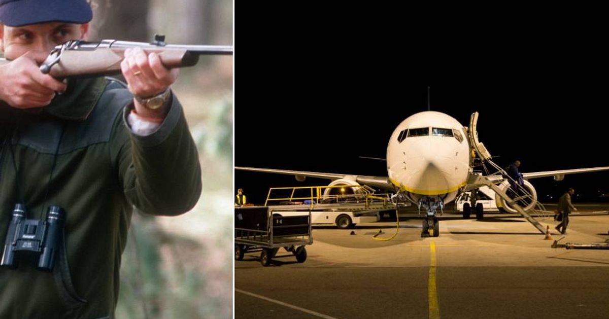 Här får du jaga älg och fågel – på flygplatsen | SVT Nyheter