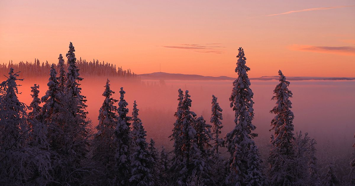 Tema vinter | SVT Nyheter