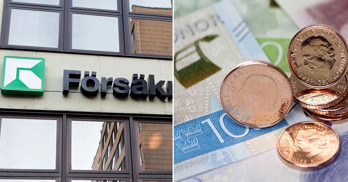 Så fuskar svenskarna med bidrag | SVT Nyheter