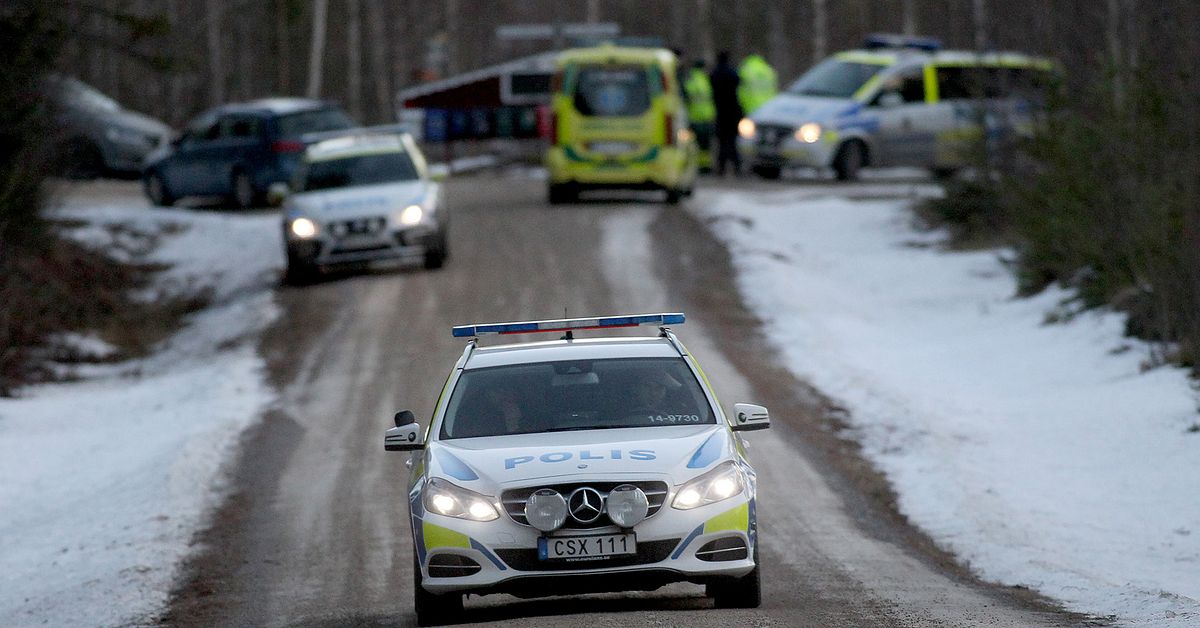 20 årig Man Begärs Häktad För Dubbelmordet Svt Nyheter