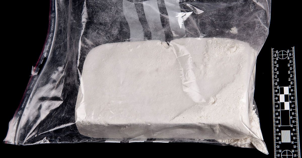 Svensk Man Greps Med Flera Kilo Kokain I Väskan Svt Nyheter