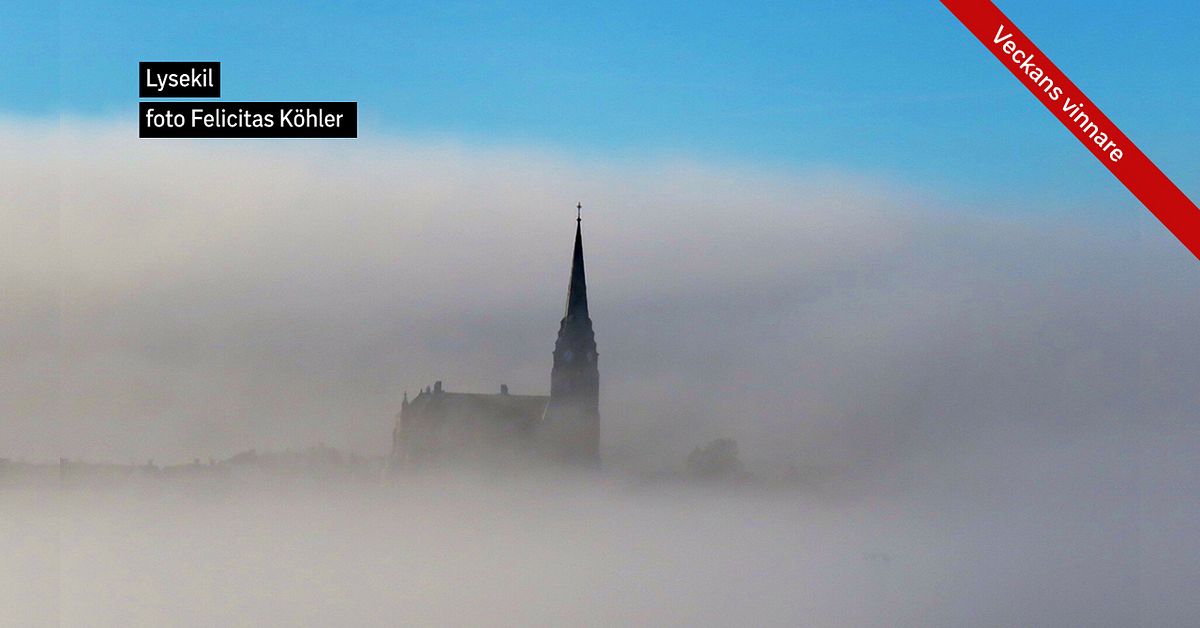 Väderbildstävling vecka 4 | SVT Nyheter