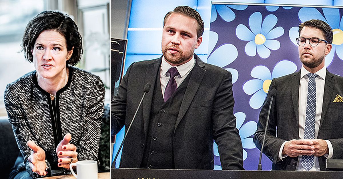 Så vill SD samverka med M | SVT Nyheter