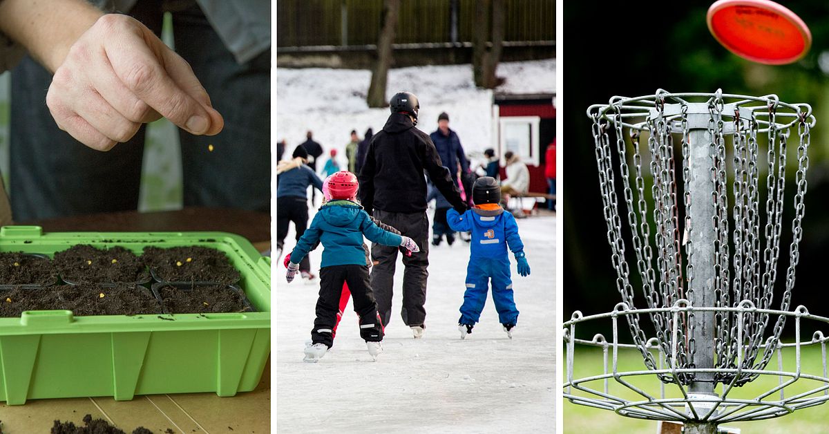Sportlov: här hittar du aktiviteterna | SVT Nyheter