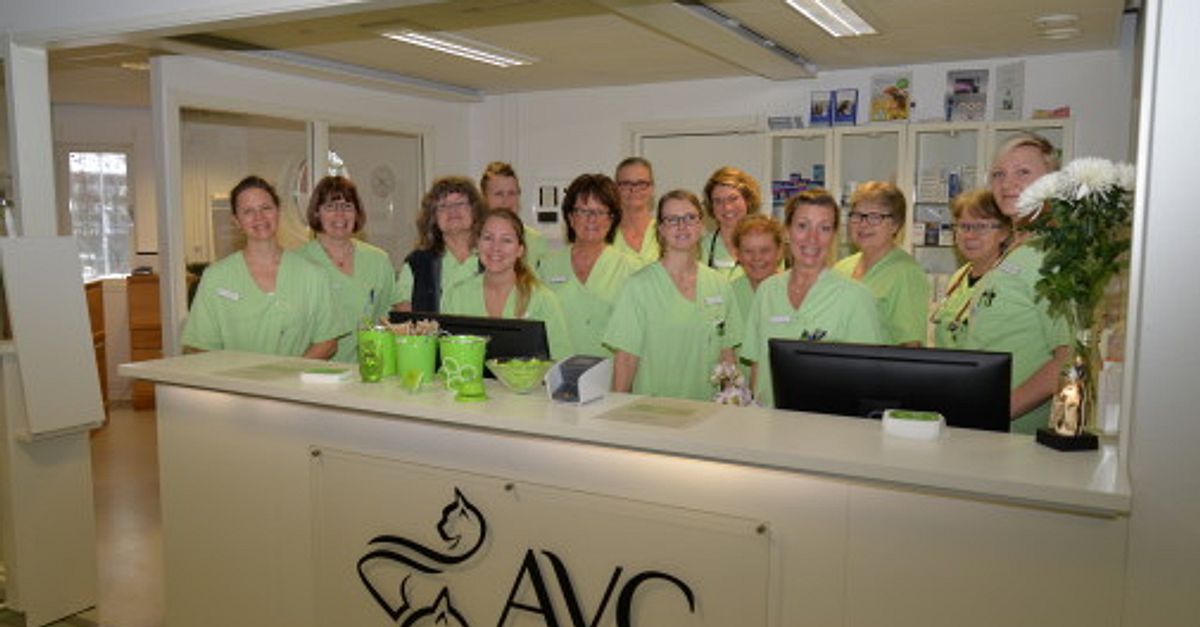 Veterinär i Västerås nomineras till årets djurklinik | SVT Nyheter