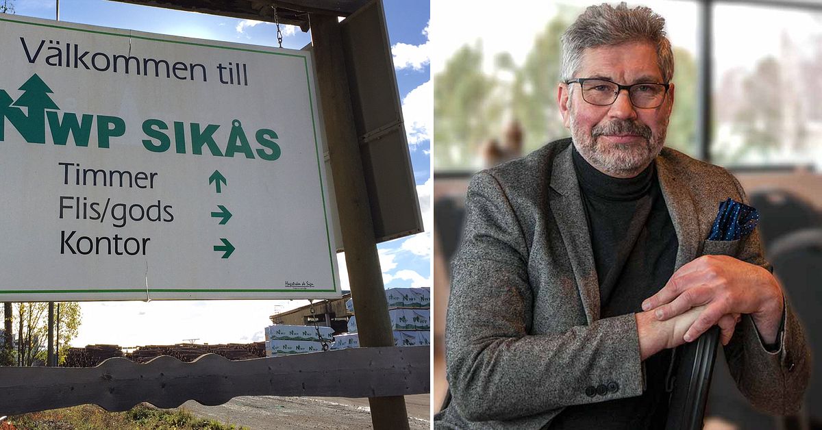 Norrskog går med fortsatt förlust | SVT Nyheter