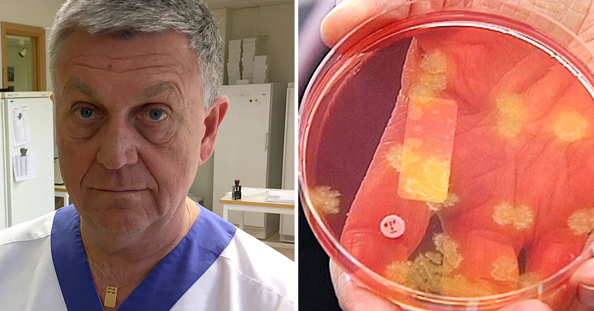 Stor ökning av multiresistenta bakterier i Kronoberg | SVT Nyheter