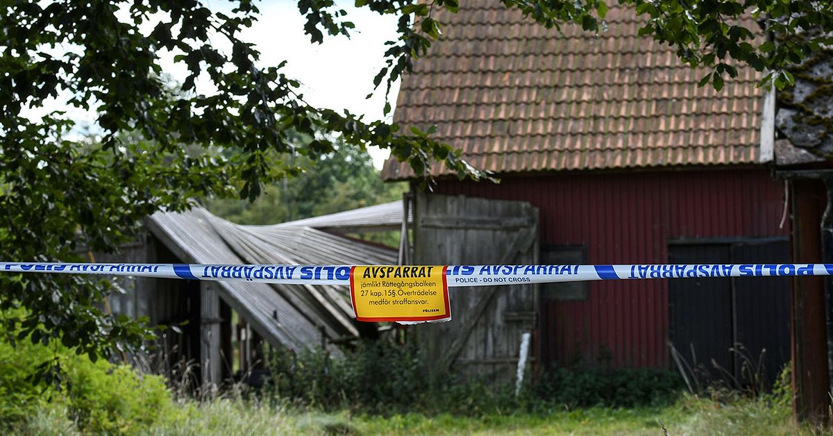 Häktad För 18 år Gammalt Mord Släpps Fri Svt Nyheter