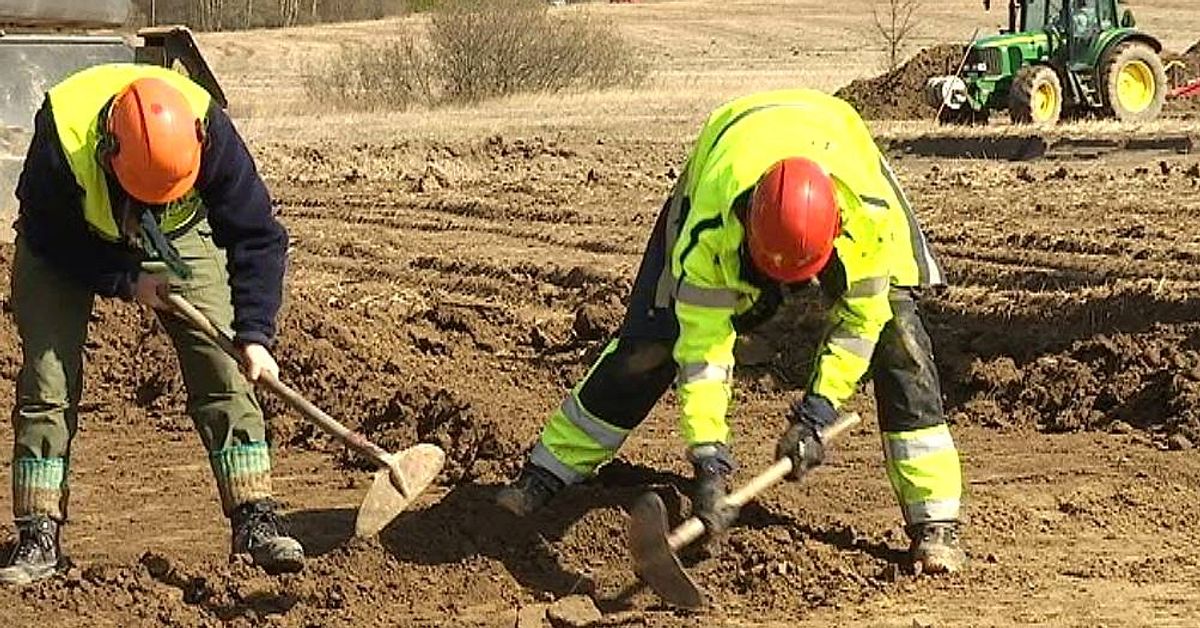 Flera fynd vid arkeologisk utgrävning | SVT Nyheter