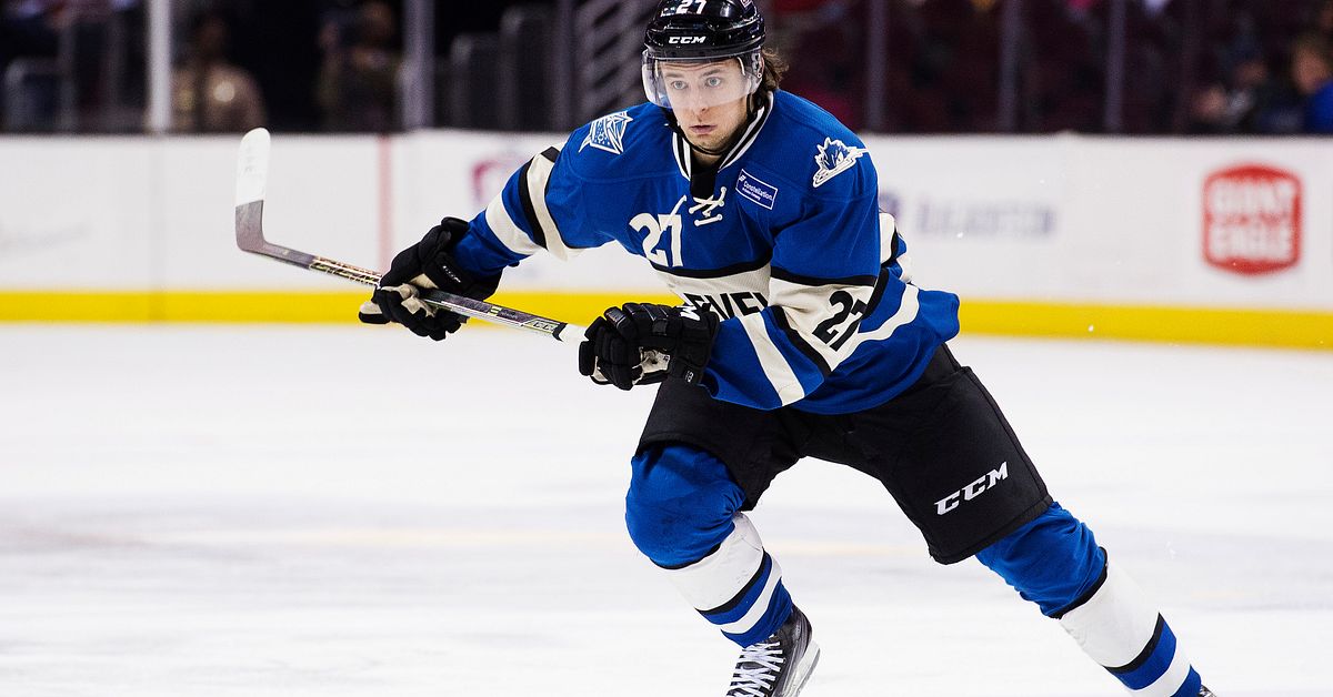 Före detta Röglespelaren Daniel Zaar till Redhawks | SVT Nyheter