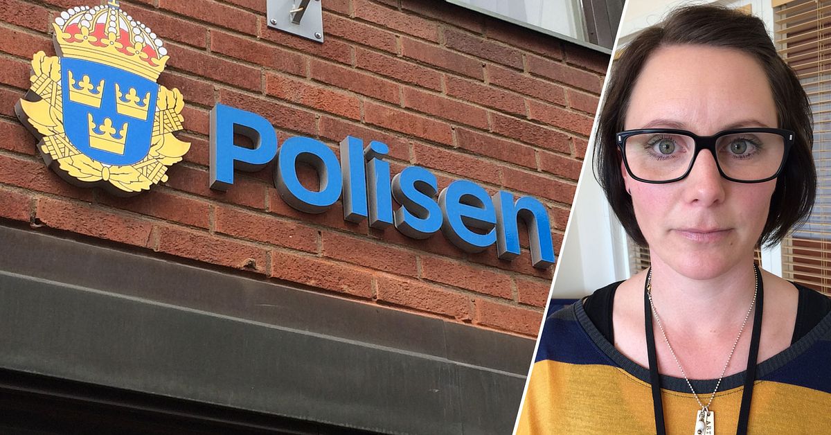 Ett år efter försvinnandet – nya sökinsatser efter Patrik planeras ...