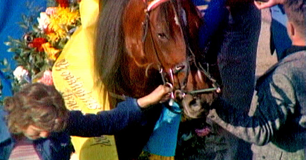 Ego Boy invald i Hall of Fame | SVT Nyheter