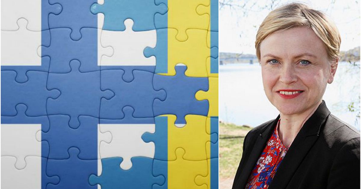 Mysata, spelata ja plugata – nuoret yhdistelevät kieliä | SVT Nyheter