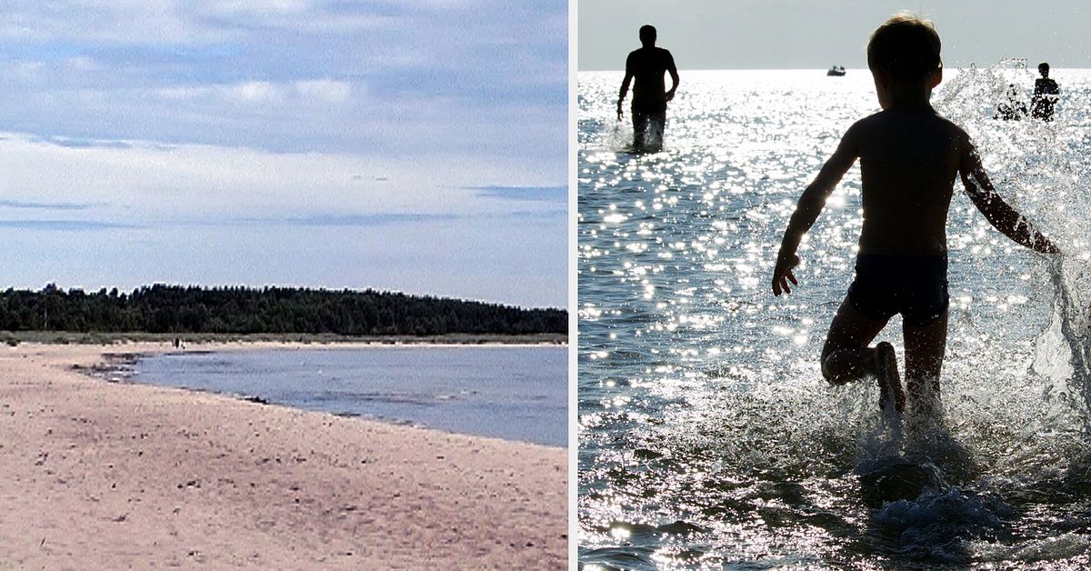 Böda Sand – bästa strand | SVT Nyheter