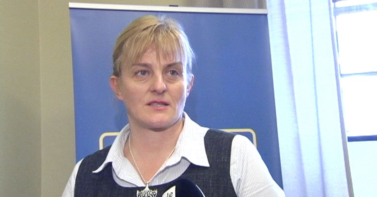 Perussuomalaiset valitsi maltillisen valiokuntajohtajan | SVT Nyheter