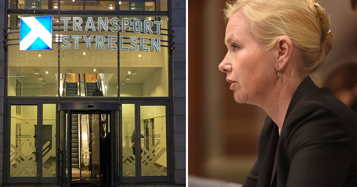 Regeringen informerade inte utrikesnämnden om IT-skandalen | SVT Nyheter