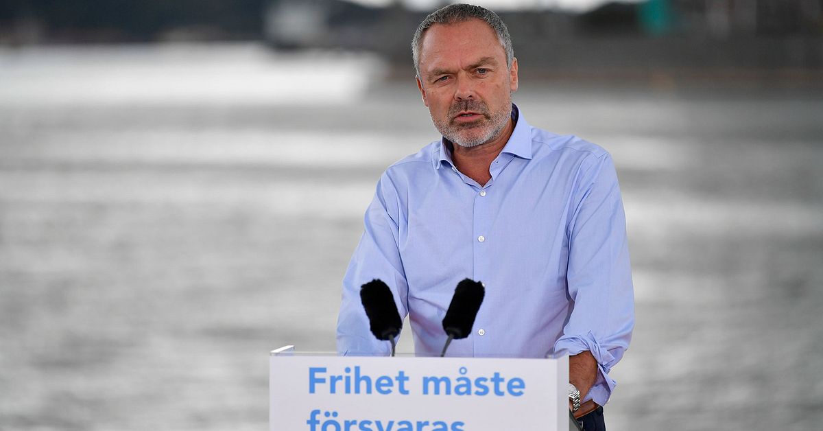 Björklund: ”En ny underklass växer fram” | SVT Nyheter