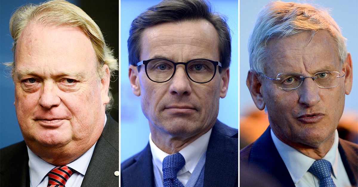 De kan bli Moderaternas nya partiledare | SVT Nyheter