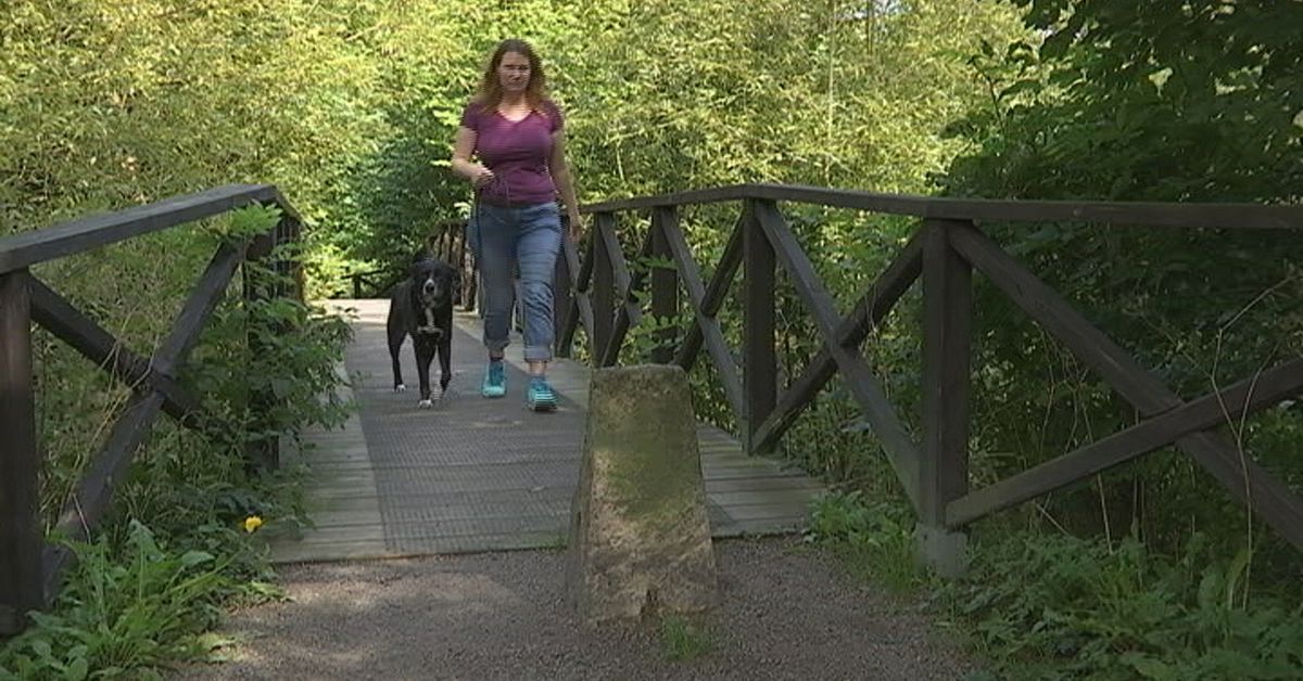 Sofia Petersson är 41 och sjuk i Alzheimer | SVT Nyheter