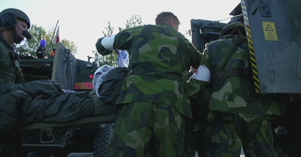 Hemvärnet hett efter Aurora | SVT Nyheter