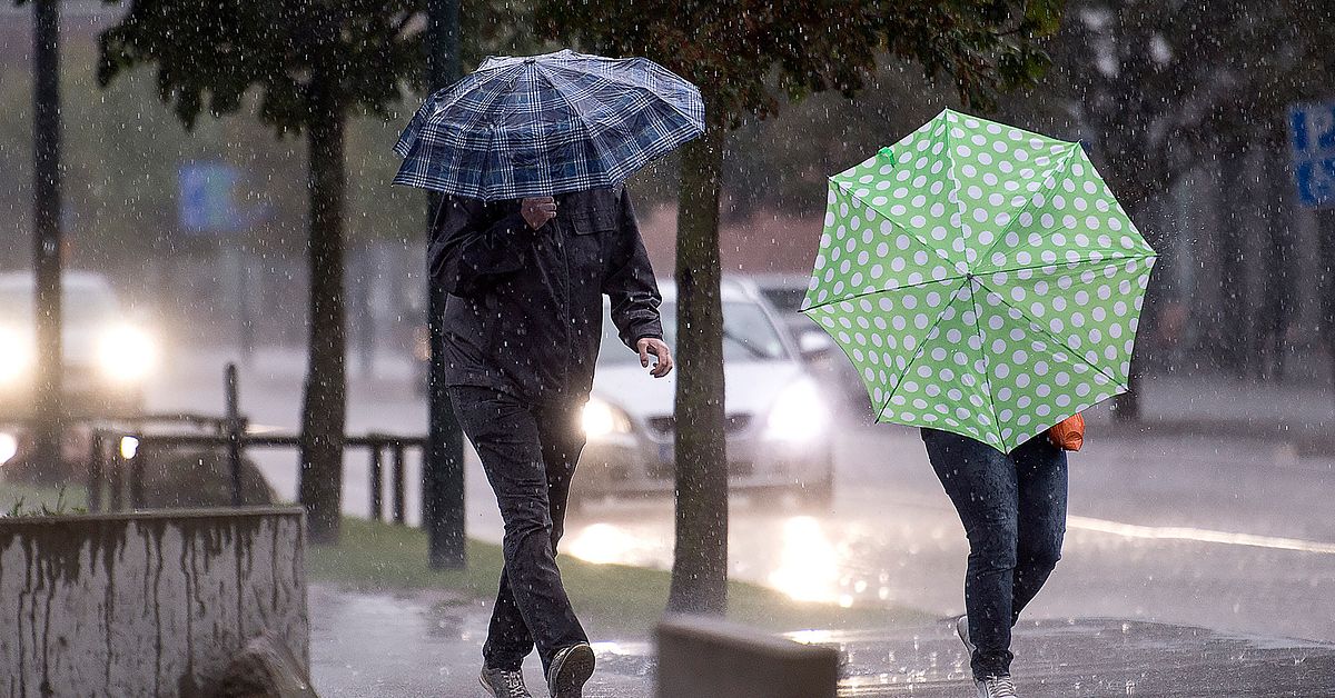 Molnig helg följs av regn och mer blåst | SVT Nyheter