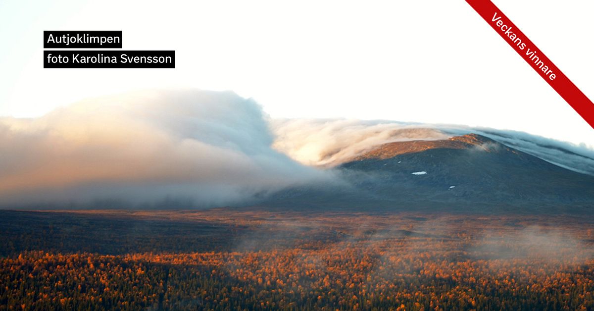 Väderbildstävling vecka 39 | SVT Nyheter