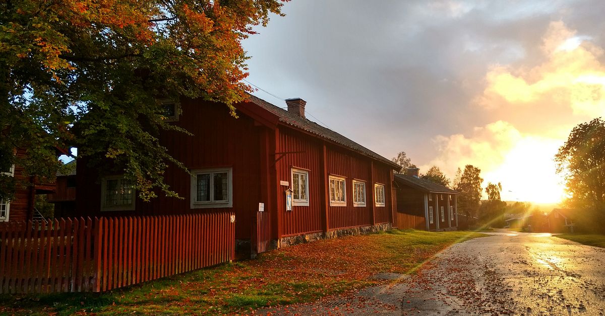 Månadens omslagsbild | SVT Nyheter